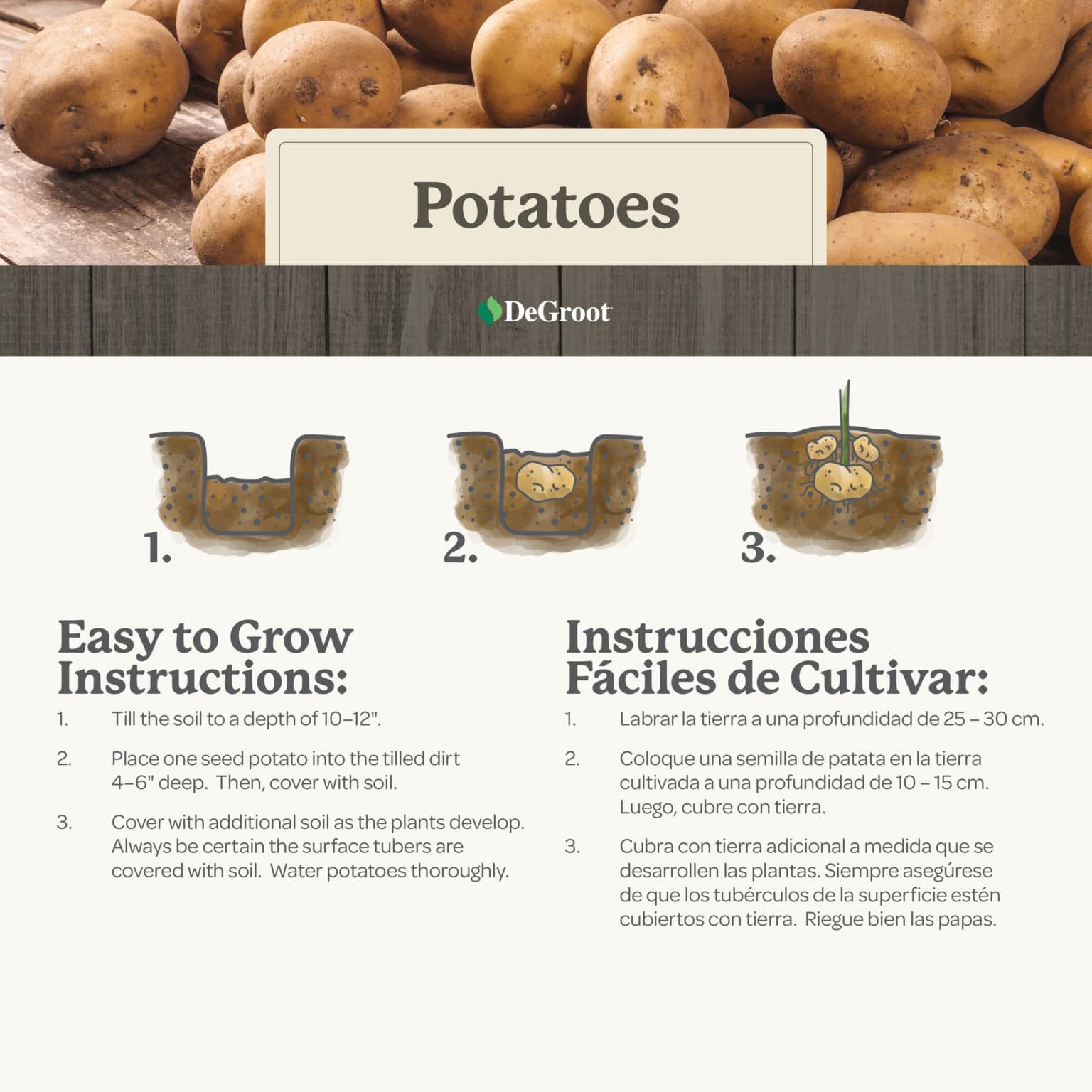 Potato Viking - DeGroot