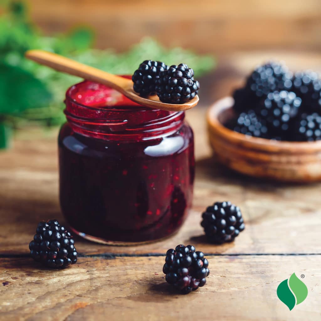 Blackberry 'Chester' (Thornless) - DeGroot