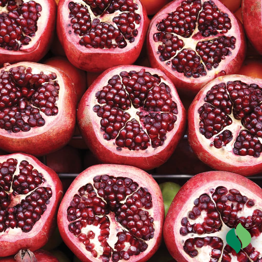 Pomegranate ‘Wonderful’ - DeGroot