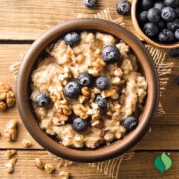 Blueberry ‘Sharpblue’ - DeGroot